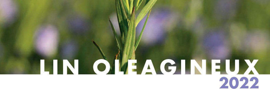 Télécharger le guide lin oléagineux | Terres Inovia